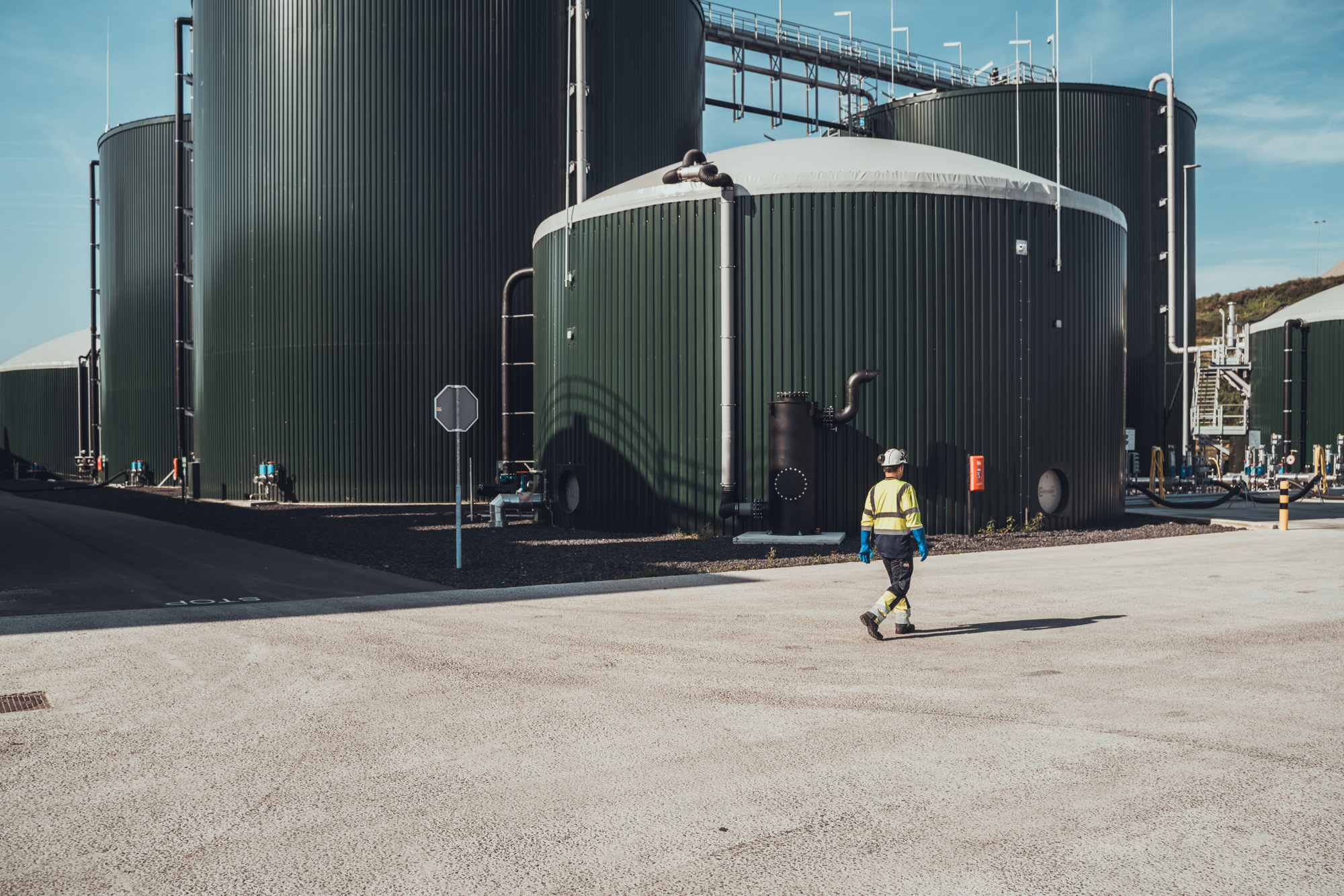 VTTI impulsa la bioenergía con el lanzamiento de VIDA Bioenergy ...